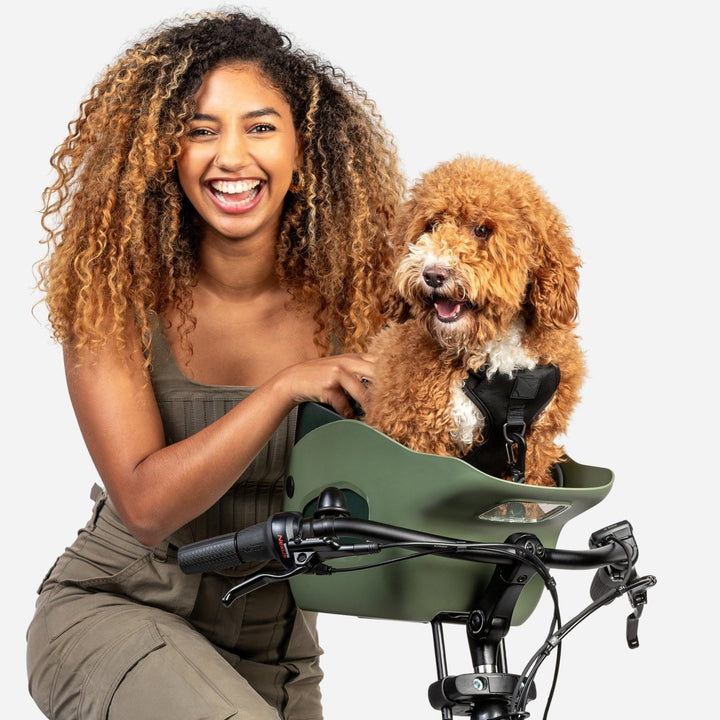 Wie ein E-Bike-Hundekorb lange Fahrten mit deinem Vierbeiner revolutio